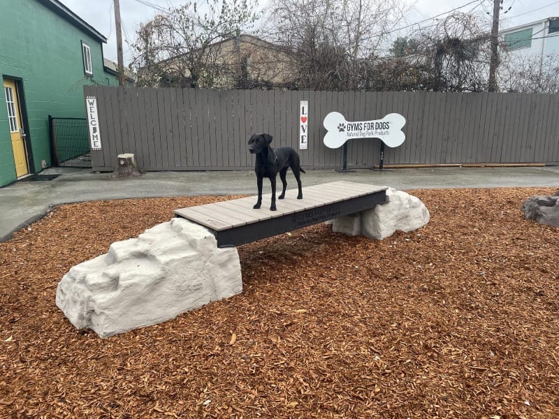 Dog Park Planning, Design & Operations