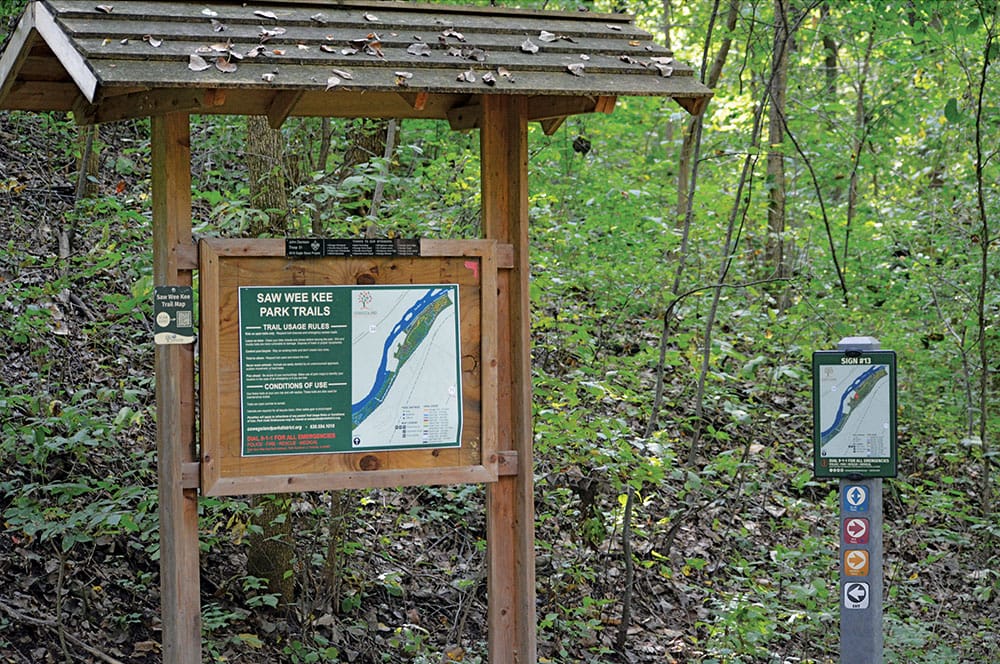 Forging A Clearer Path